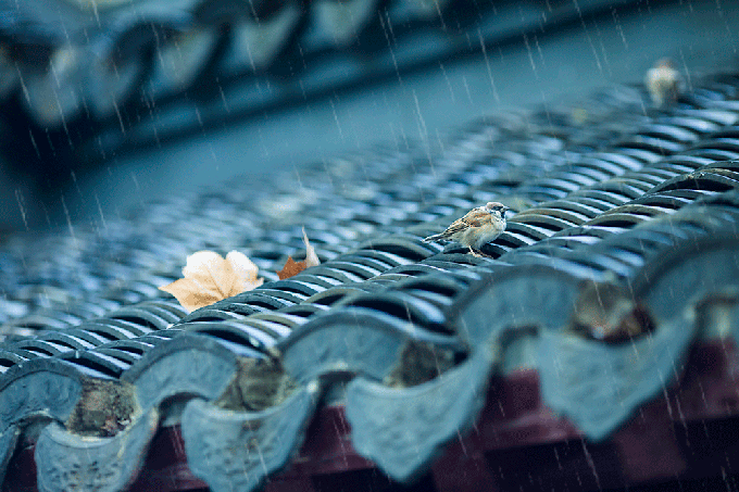 Waterproofing Measures in Ancient Chinese Architecture